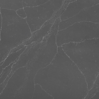 MARKEE ABSOLUTE QUARTZ SOLID SURFACE – SEA Olympus Marketing Inc.